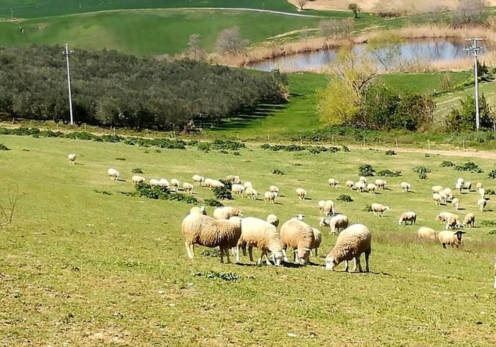 Abruzzo protagonista su Rai 3 nel programma "Generazione Bellezza" con ...